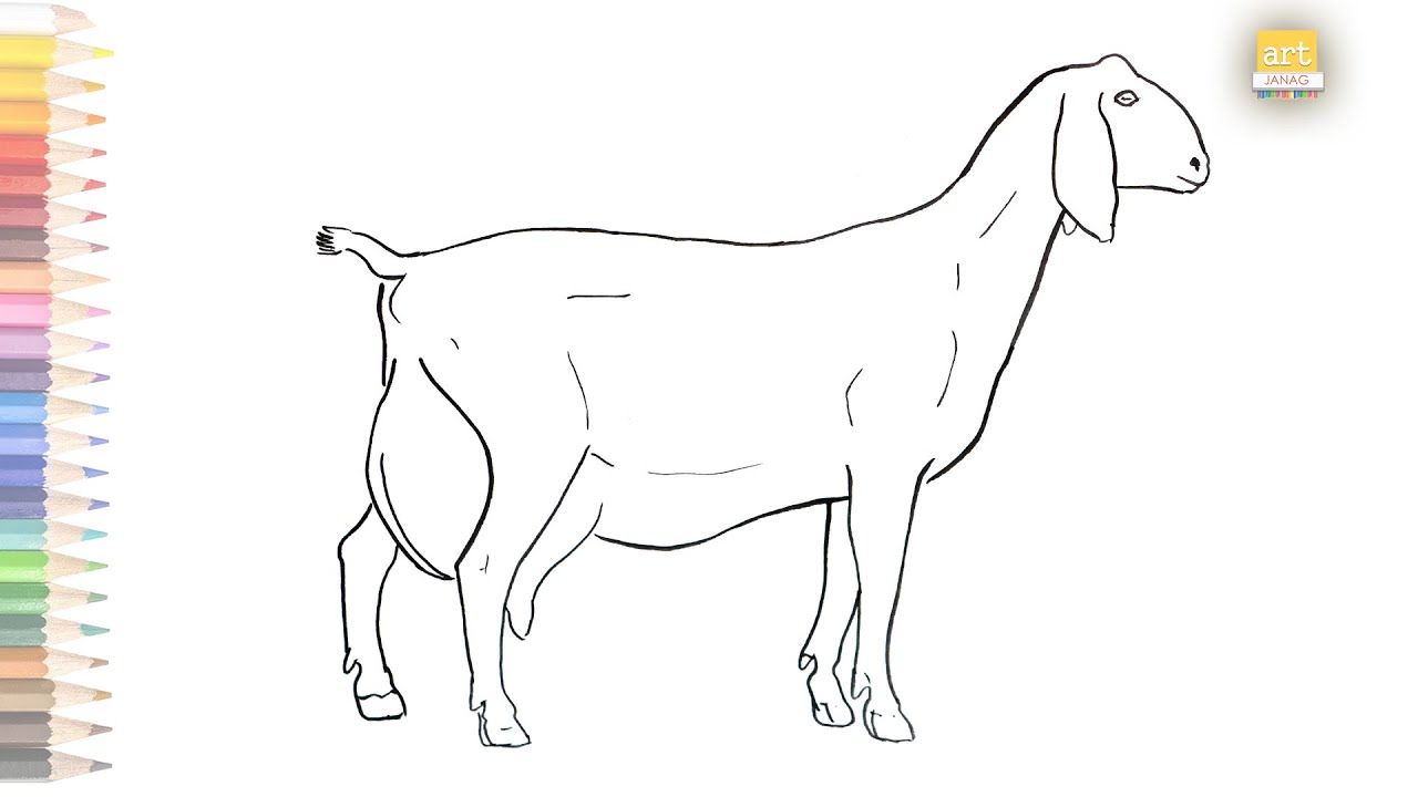 Goat Outline