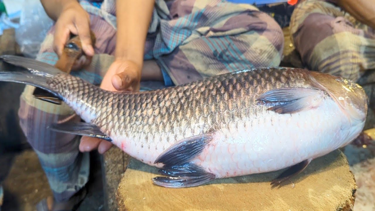 Incredible Delicious Kali Baush Fish Cutting Skills In Bangladesh Local ...