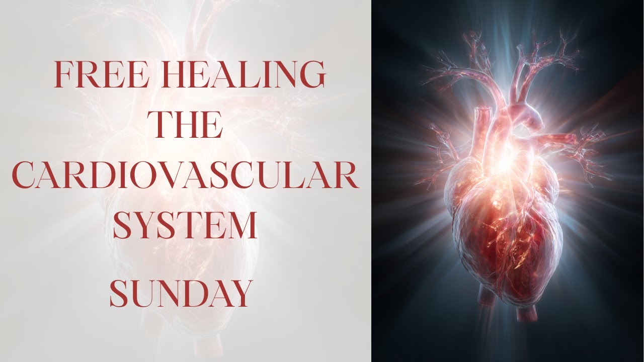 Sun Healing the Cardiovascular System Oct 26,25 - YouTube