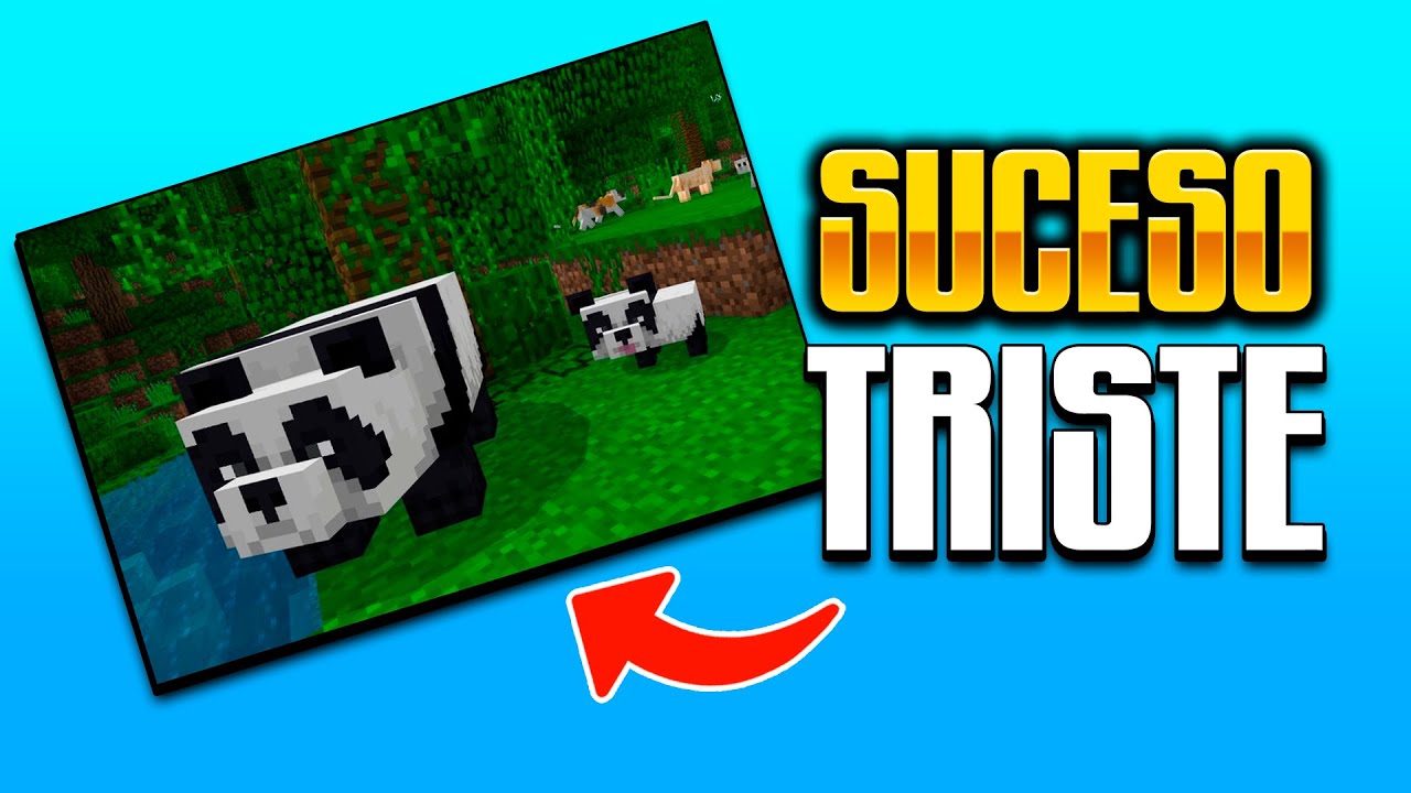 Increible! Encontre un oso panda en minecraft. - YouTube
