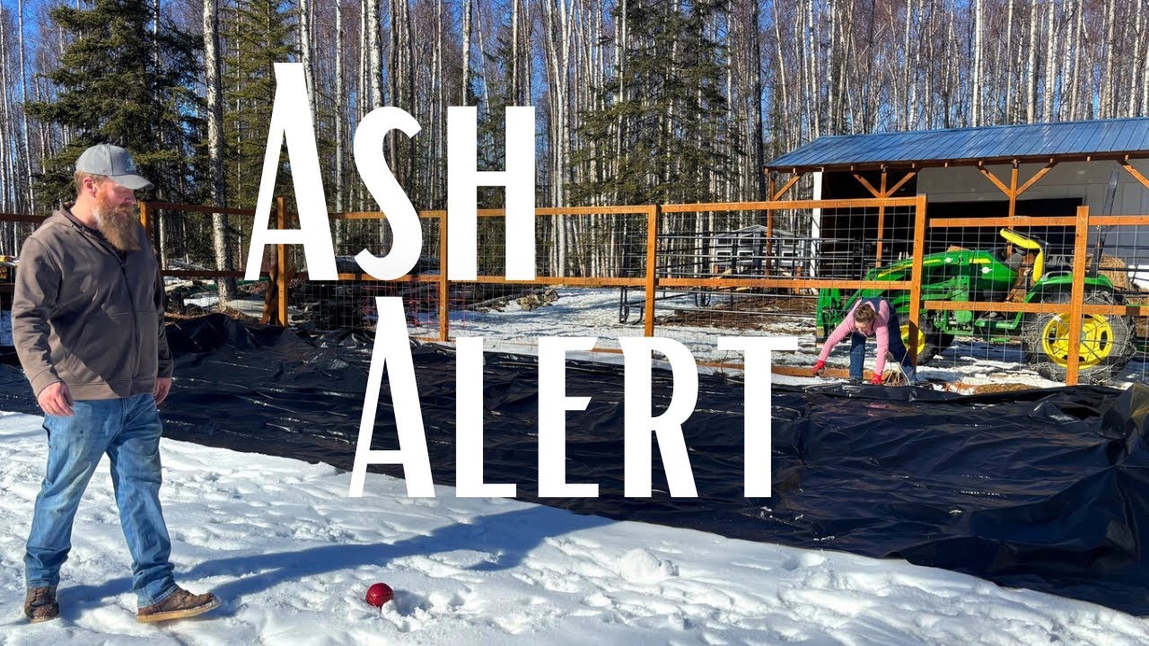 Alaska On Alert! Emergency Prep For Volcanic Ash Event On The Homestead ...
