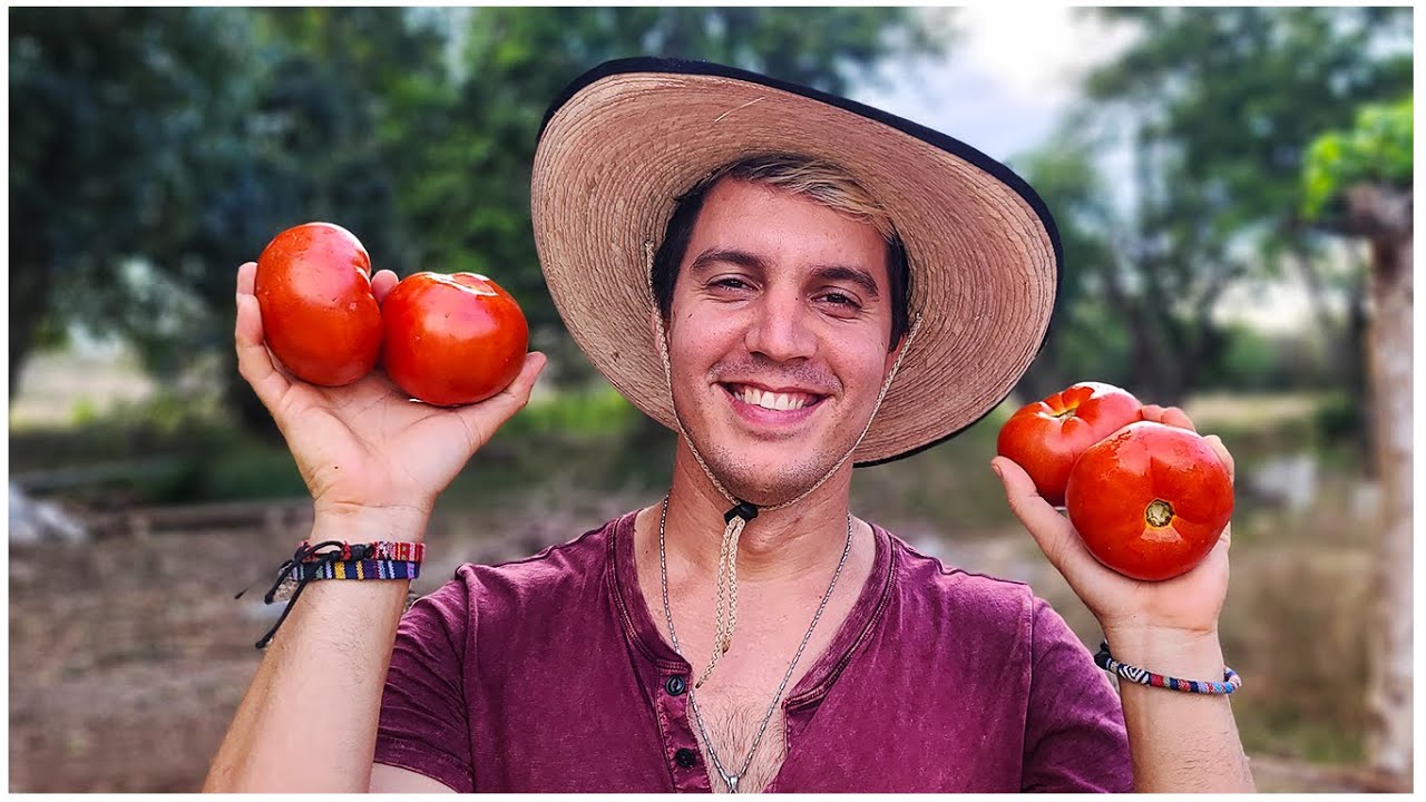 VENTAJAS de VIVIR en CUBA. COMO se Vive en CUBA hoy 2022. VIDA DEL ...