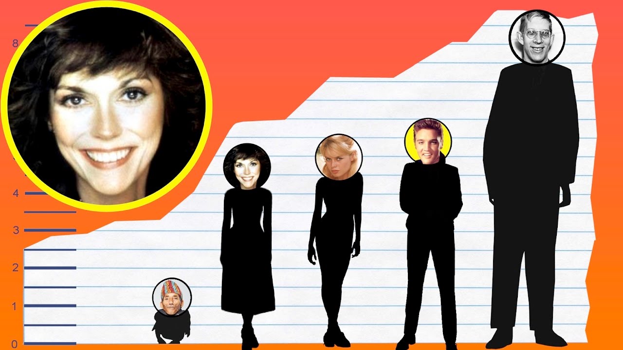 How Tall Is Karen Carpenter? - Height Comparison! - YouTube