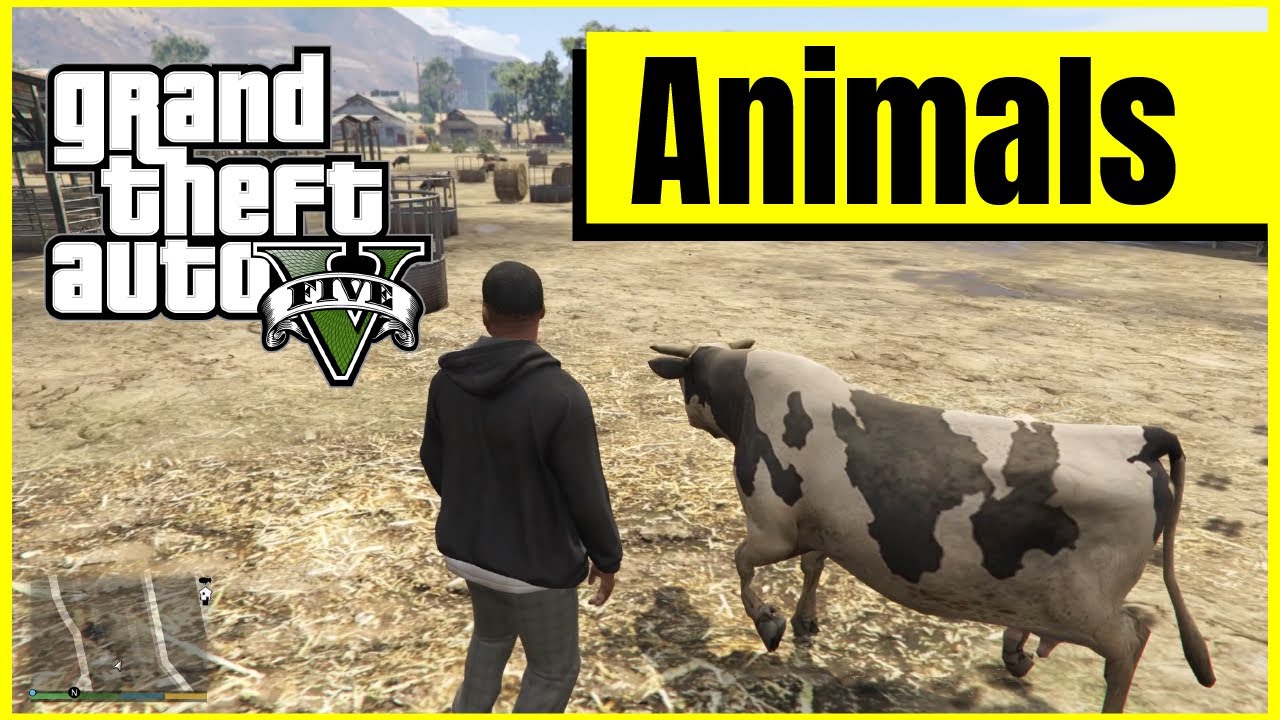 GTA V Animals | gta 5 gameplay | Animals | gta 5 video - YouTube