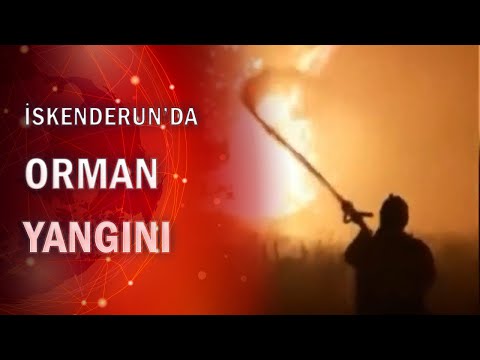 Hatay İskenderun'da orman yangın
