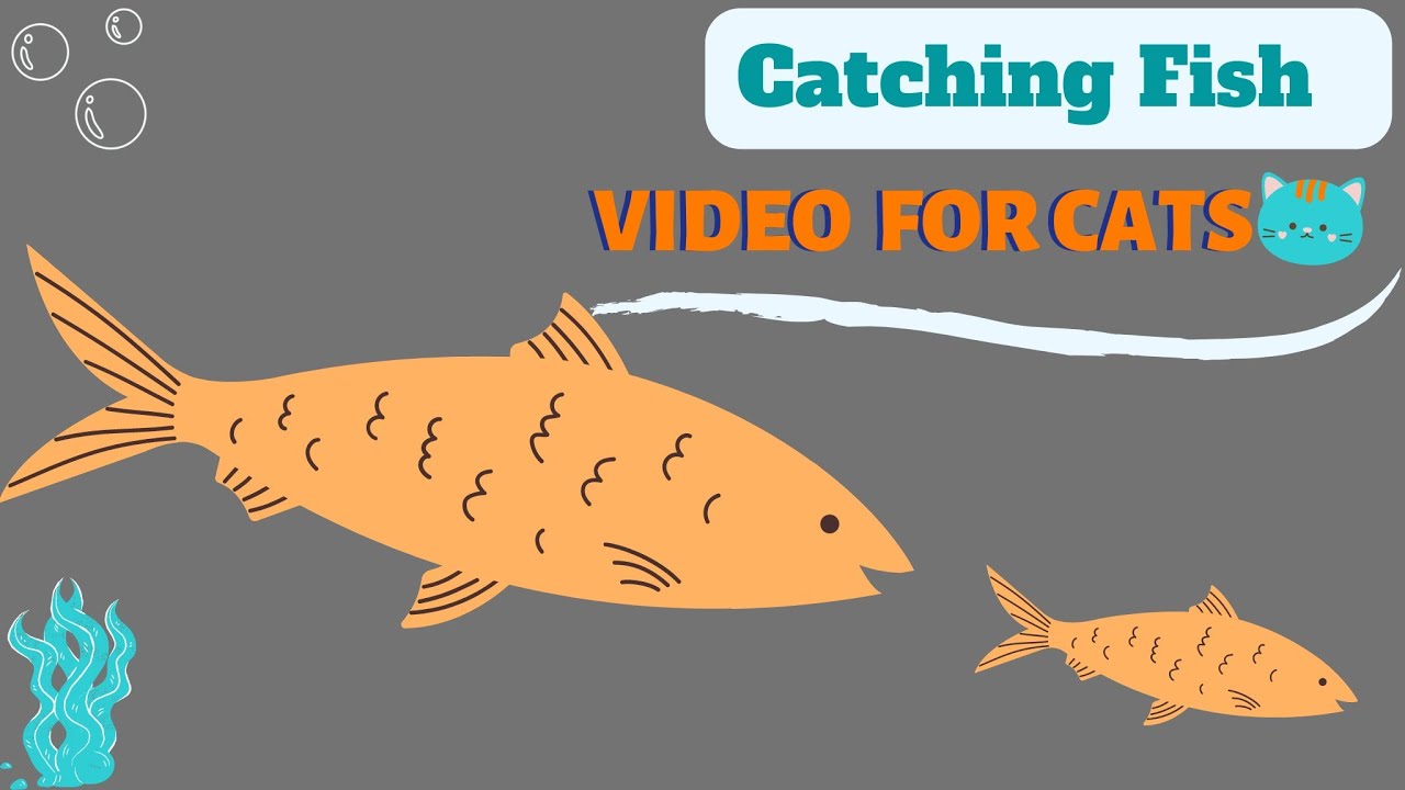 Cat Dog Games- Berburu Ikan Mainan Kucing Anjing |Catching Fish - YouTube