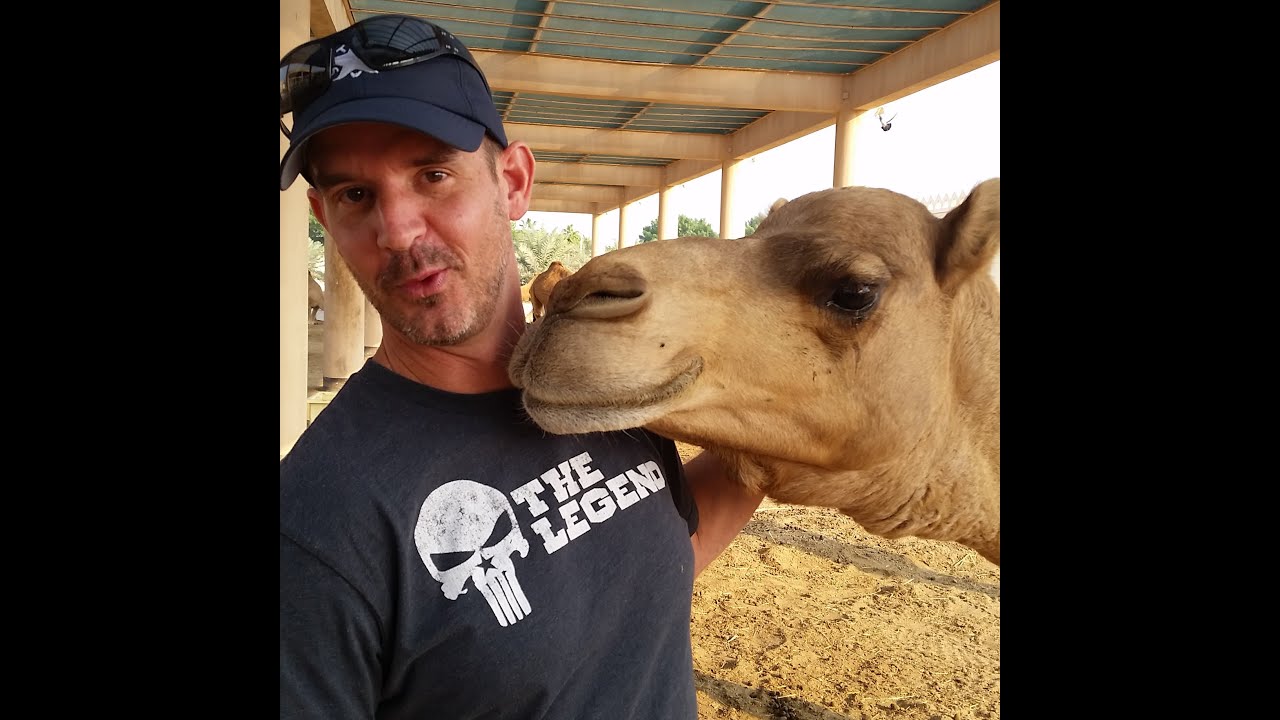 Bahrain Royal Camel Farm - YouTube