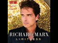 Richard Marx – Limitless (2020, Tri-Fold Wallet Digipak, CD) - Discogs