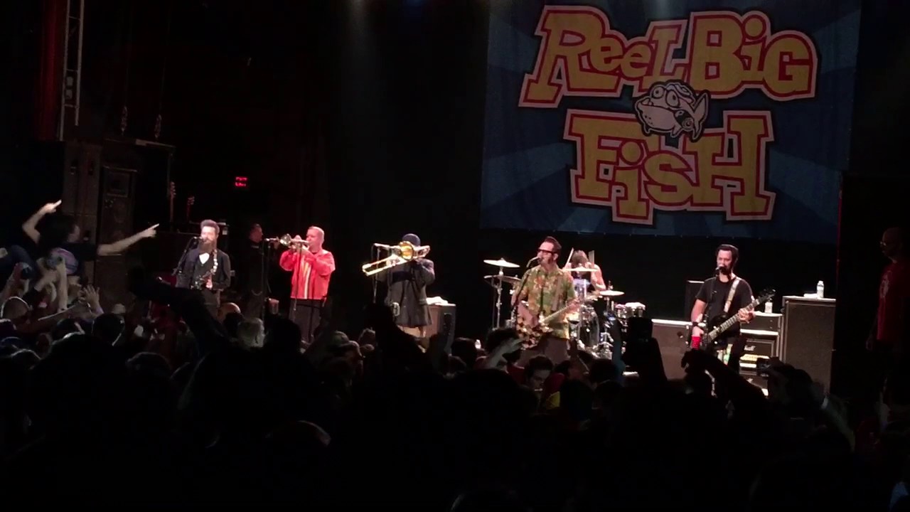 Reel Big Fish Beer - YouTube