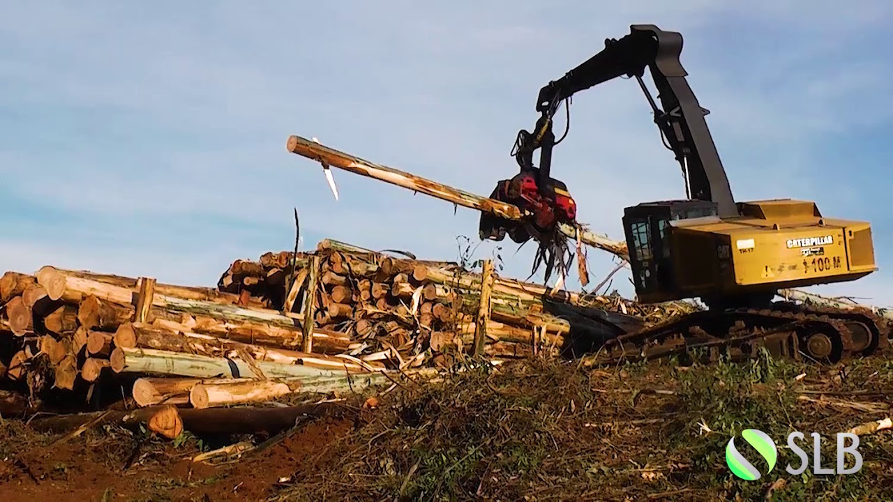 Brazil Forest® (Groupe SLB) - Présentation - YouTube