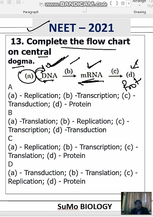 central dogma, Complete the flow chart on central dogma. - YouTube