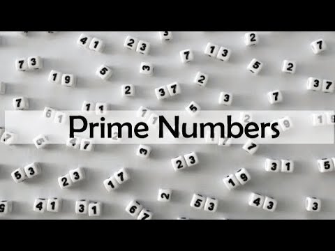 JAVA BASIC PROGRAMS || • 1) CHECK IF GIVEN NUMBER IS PRIME OR NOT ...