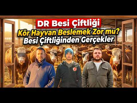 Kör Hayvan Beslemek Zor mu? Besi Çiftliğinden Gerçekler.