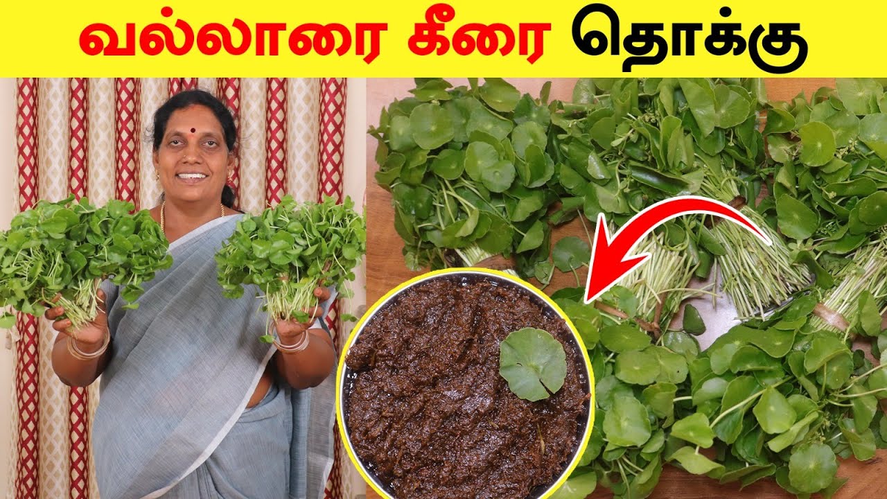 வல்லாரை கீரை தொக்கு செய்முறை | வீட்டு முறையில் | Vallarai Keerai Thokku ...