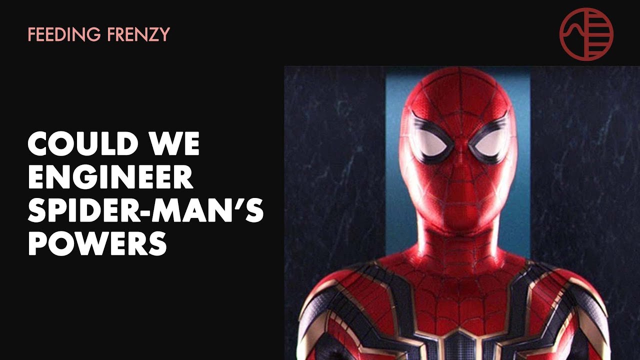 Could We Engineer Spider Man's Powers - YouTube