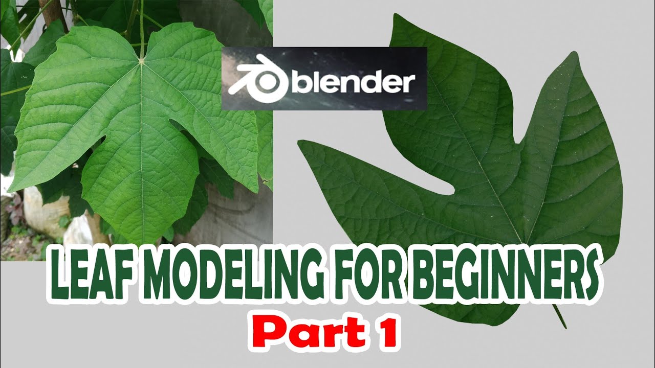 HOW TO CREATE A MODEL OF LEAF FAST IN BLENDER 2.80 FOR BEGINNERS PART 1 ...