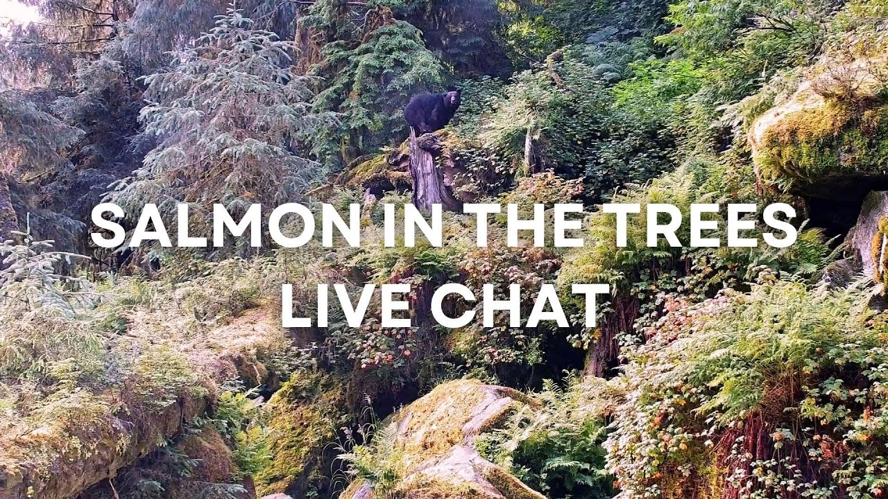 Salmon in the Trees | Explore Live Events - YouTube
