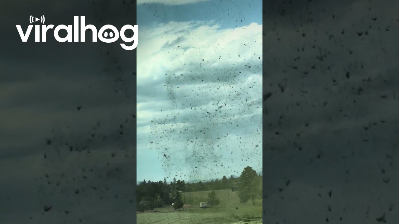 Dust Devil In Freshly Cut Hay Field || ViralHog - YouTube