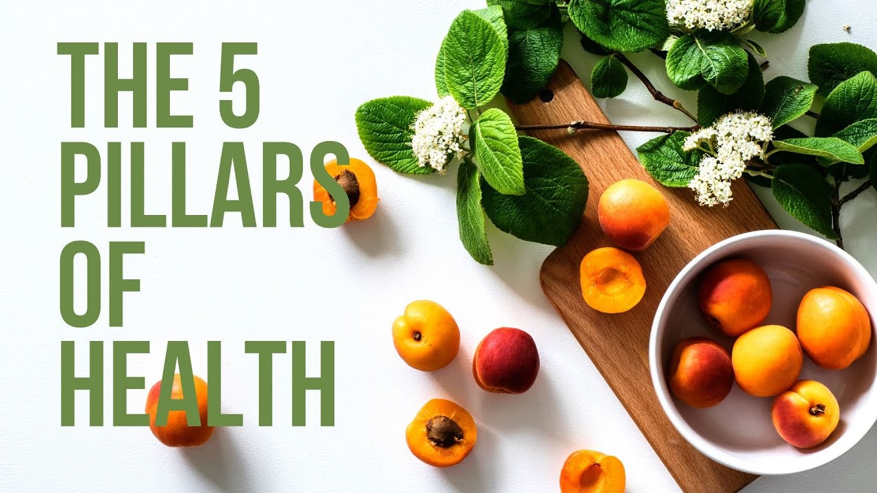 The 5 Pillars Of Health YouTube the-5-pillars-of-health-youtube