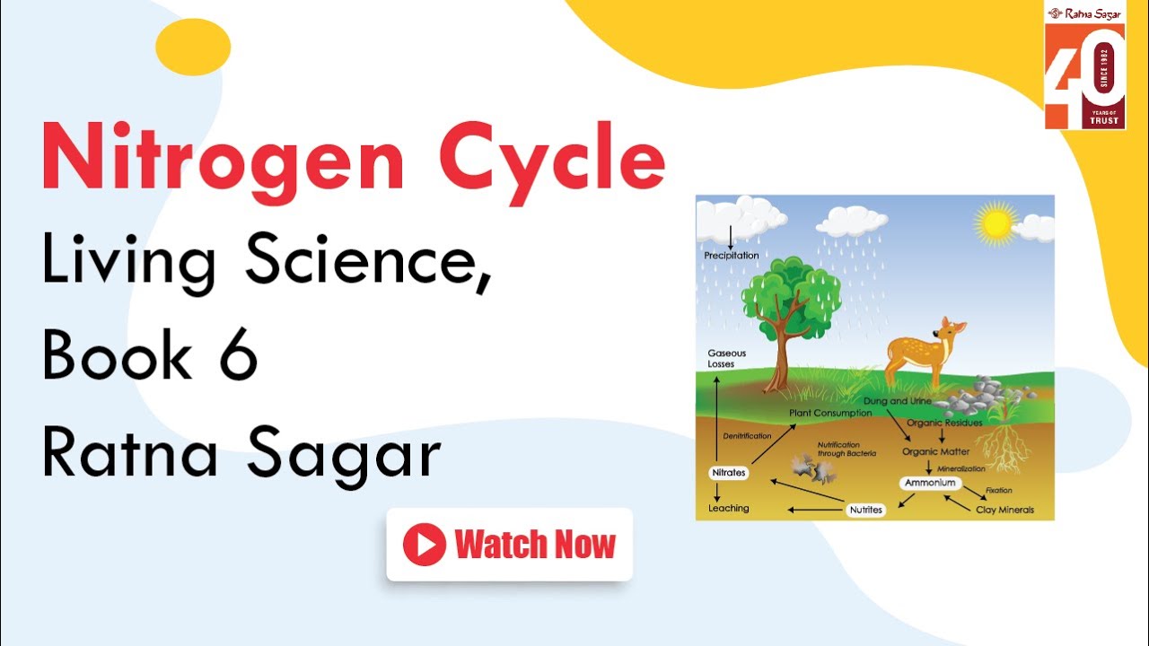 Nitrogen Cycle Science Class 8 - Ratna Sagar Living Science Book 8 ...