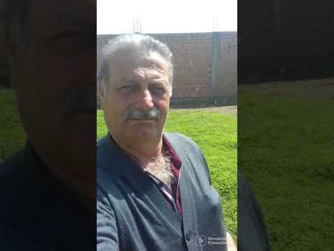 Sait Yıldız - Ali Bra