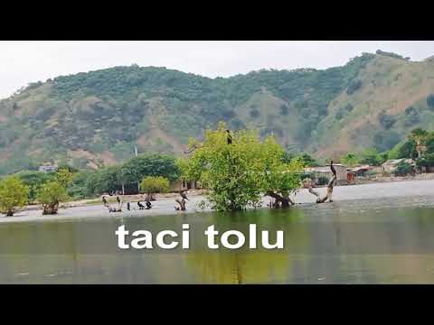 Live in taci 3