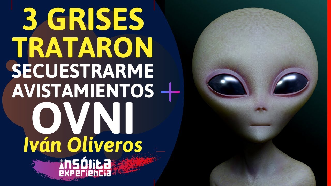 INCREÍBLE I 3 SERES GRISES trataron de llevarme, desde ese día tengo ...
