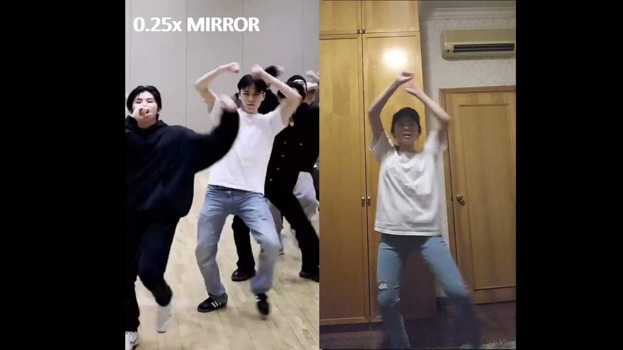 SEVENTEEN (세븐틴) DON QUIXOTE | Dance Cover Mirrored by MINTALLE - YouTube