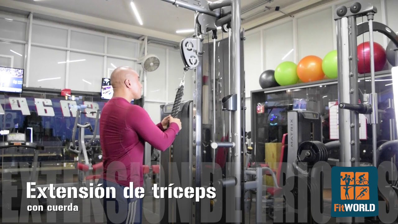 Extensión de tríceps con cuerda - YouTube