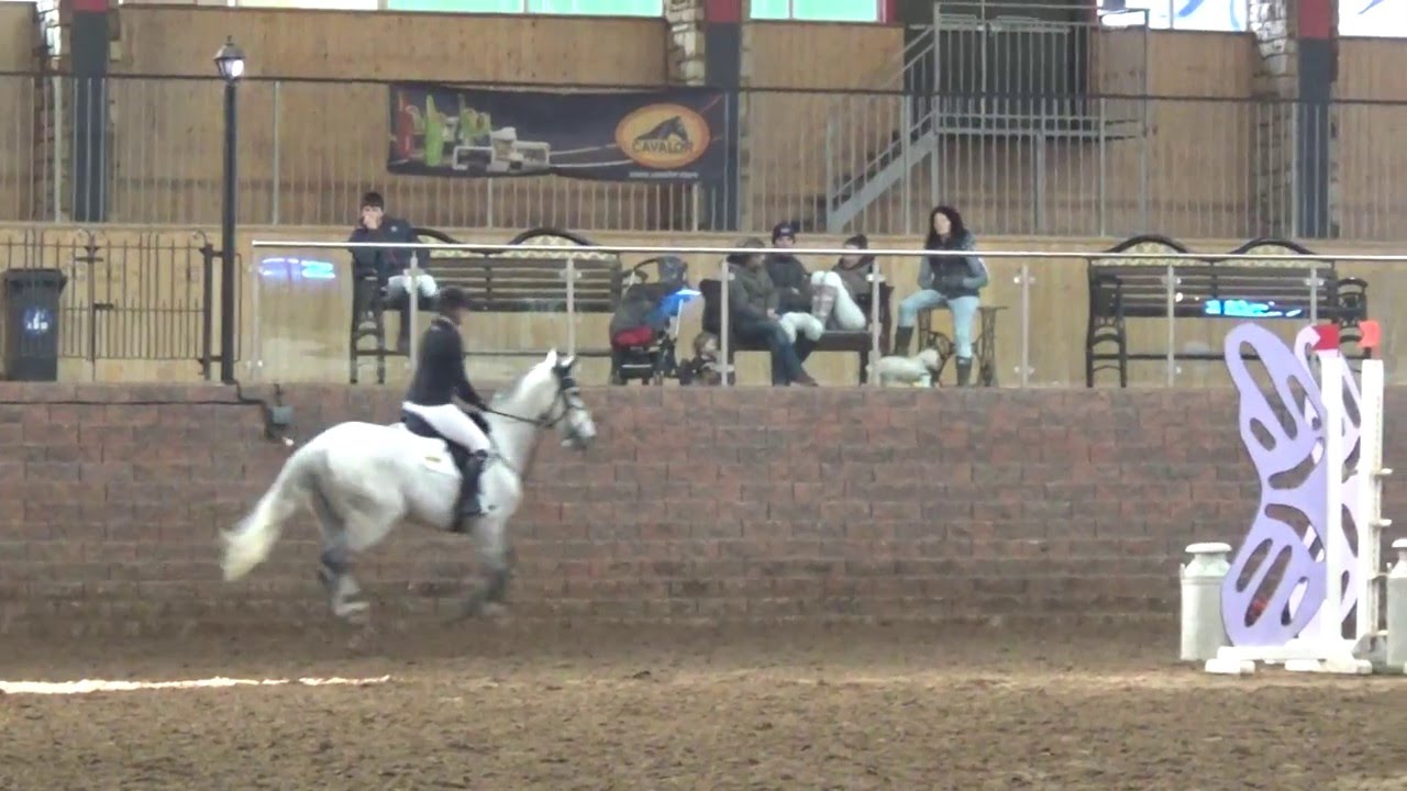 Jones VD Bisschop 6&7yo Balmoral qualifier jumpoff - YouTube
