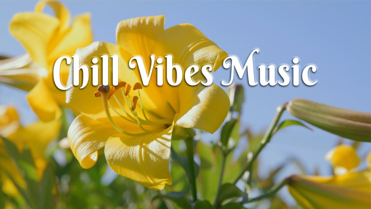 Chill Vibes Music ๐ง Songs That Bring Positive Emotions And Happiness
