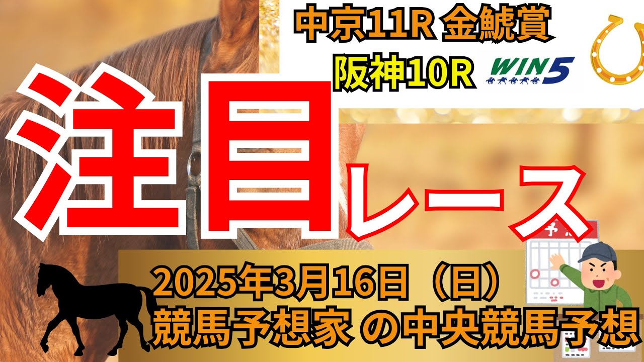 【金鯱賞 2025】 2025年3月16日（日）WIN5対象レース阪神10Rも【競馬予想】 - YouTube