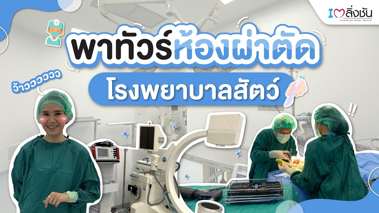 Operating Room Tour | พาทัวร์ห้องผ่าตัด โรงพยาบาลสัตว์ 🏪🩺 เครื่องมือตุด ...