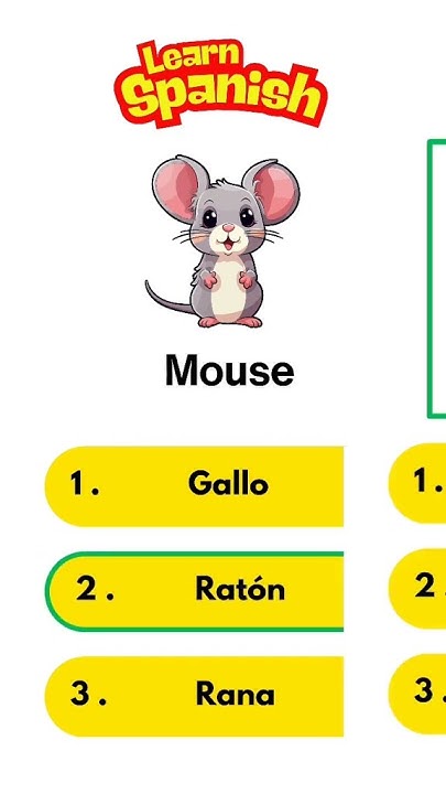 SPANISH VOCABULARY Intermediate/Learn the Most useful Spanish ...