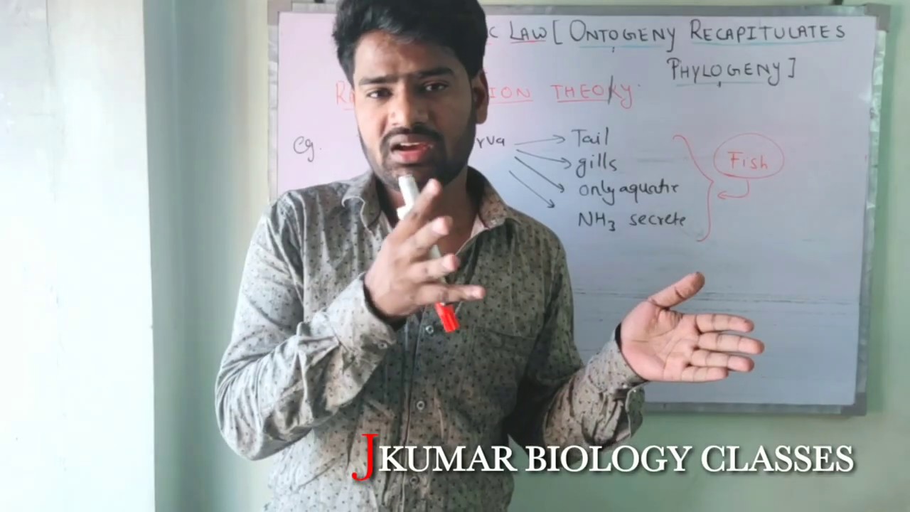RECAPITULATION THEORY | BIOGENIC LAW | ONTOGENY RECAPULATES PHYLOGENY ...