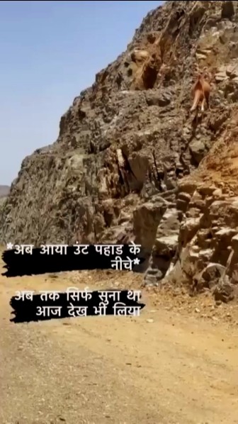 अब आया ऊंट पहाड़ के नीचे/Ab Aya Ut pahad ke niche #shorts #viral #funny ...