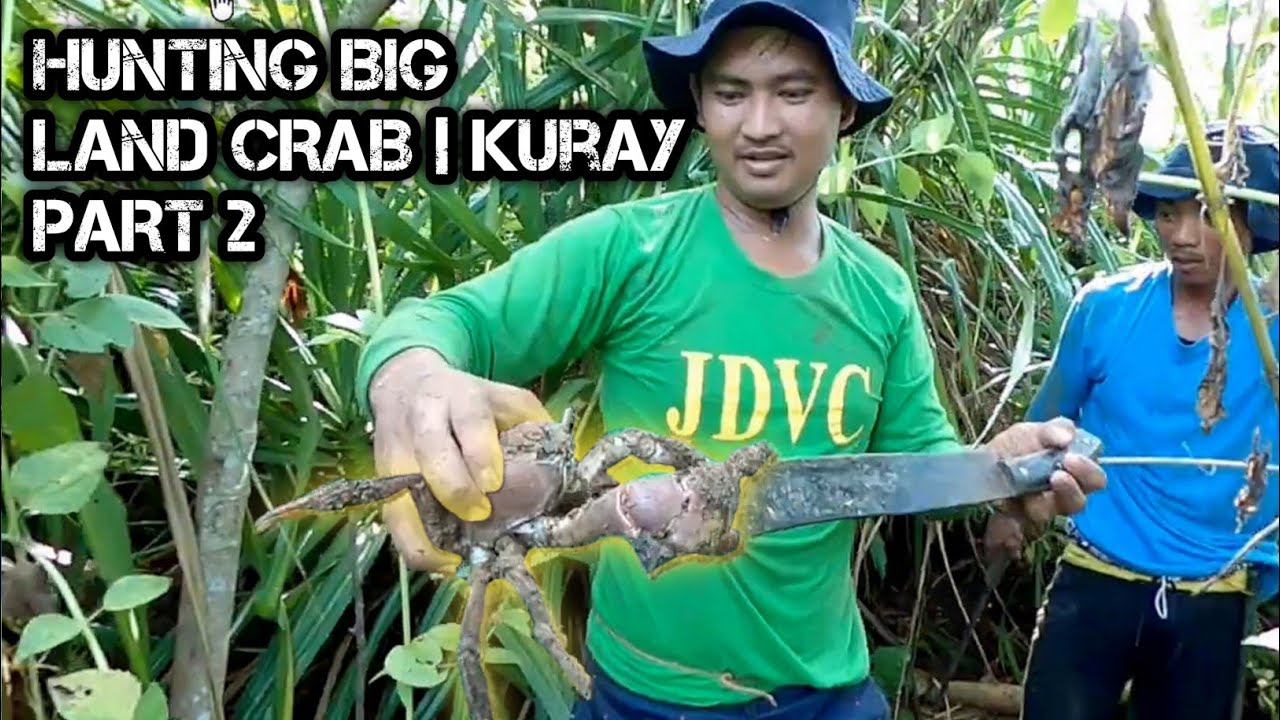 e115 Part 2 | Giant Kuray | Land Crab Hunting | D Ilocano Hunter - YouTube