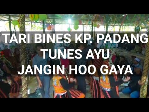 Tari Bines Gayo Tunes Ayu || Ho Gaya - YouTube