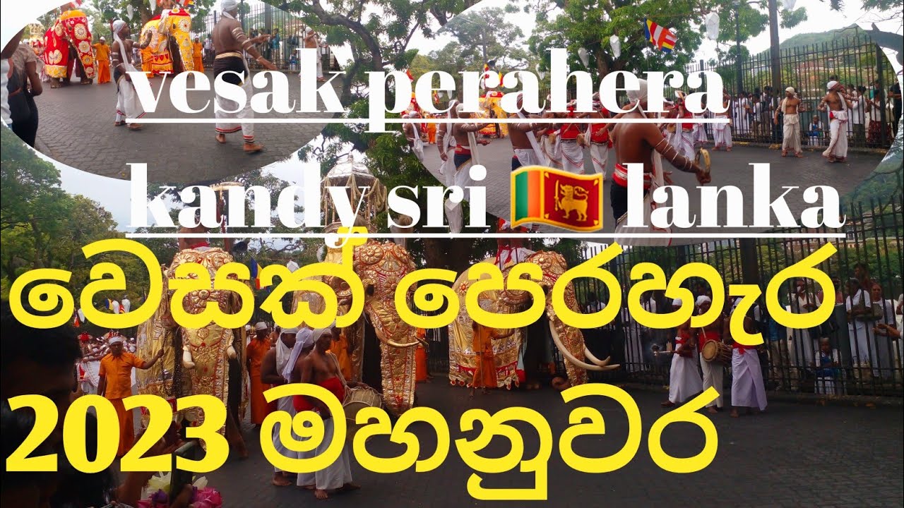 wesak perahera||2023|වෙසක් පෙරහැර|මහනුවර| ශ්‍රී දළදා මාලිගාව මහනුවර ...