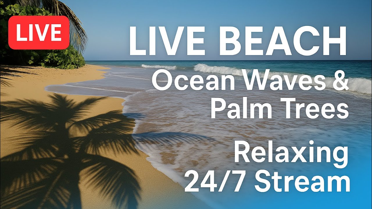Tropical Beach Live | Relaxing Ocean Waves & Palm Trees 24/7 - YouTube