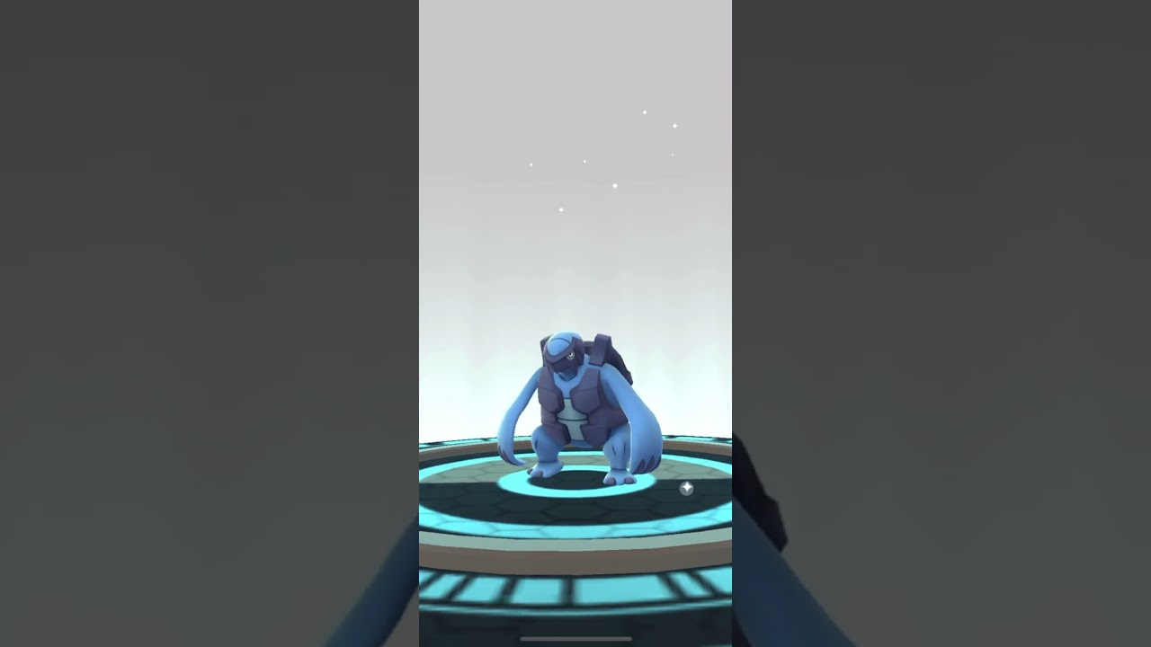 Tirtouga Evolution Chart