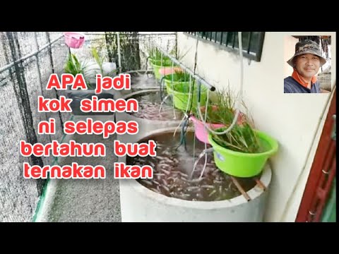 APA JADI PADA KOK SIMEN SELEPAS BERTAHUN TAHUN BUAT TERNAKAN IKAN - YouTube