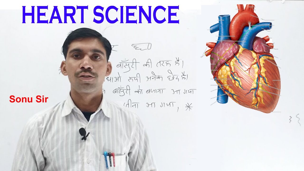 heart science - YouTube