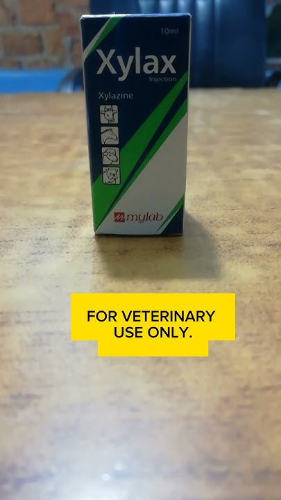 Xylax injection #animals #animalmedicine #shorts #shortvideo #shortsfeed - YouTube