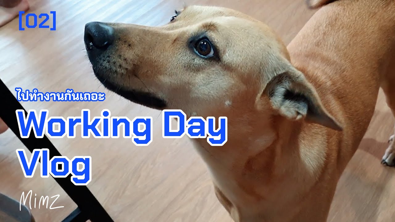 [2] Day in the working life of me│Mimz - YouTube