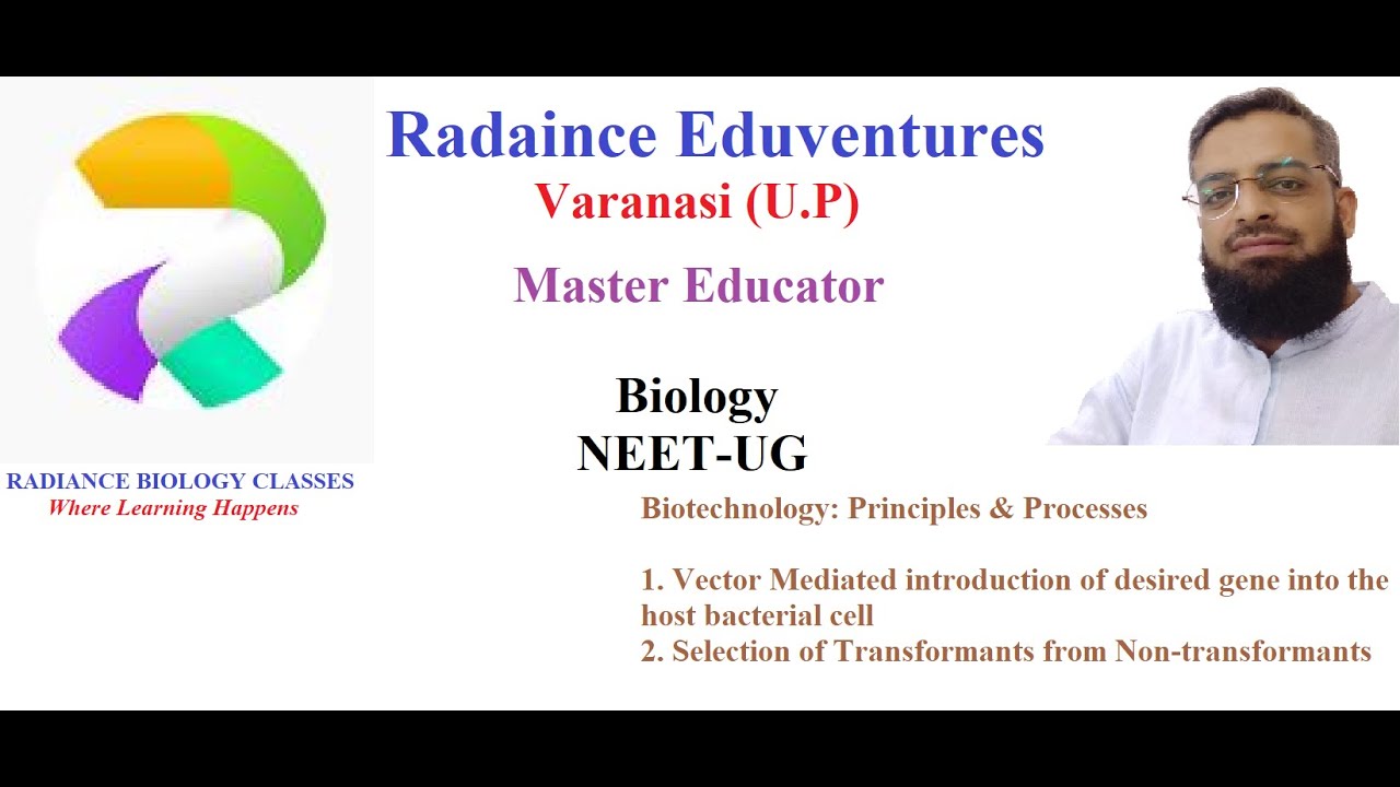 Vector Mediated Gene Transfer & Selection Of Transformants - YouTube