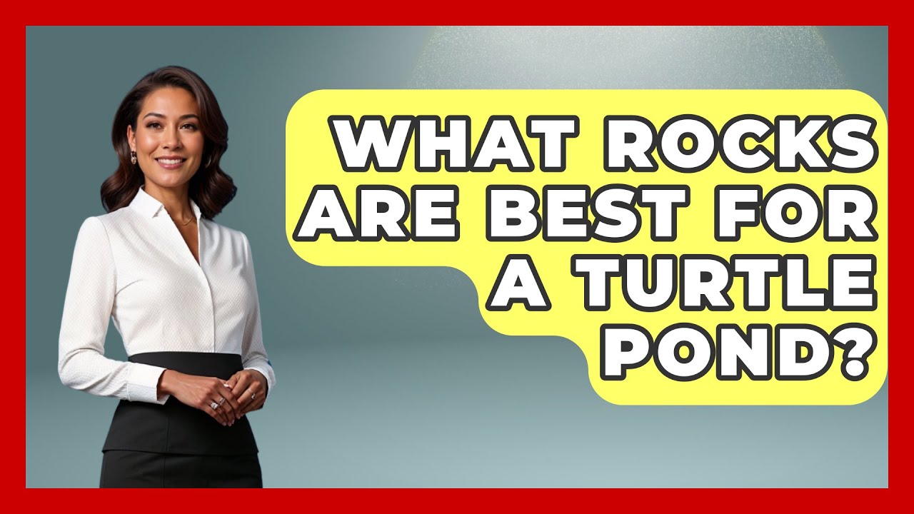 What Rocks Are Best For A Turtle Pond? - Reptilian Wonders - YouTube