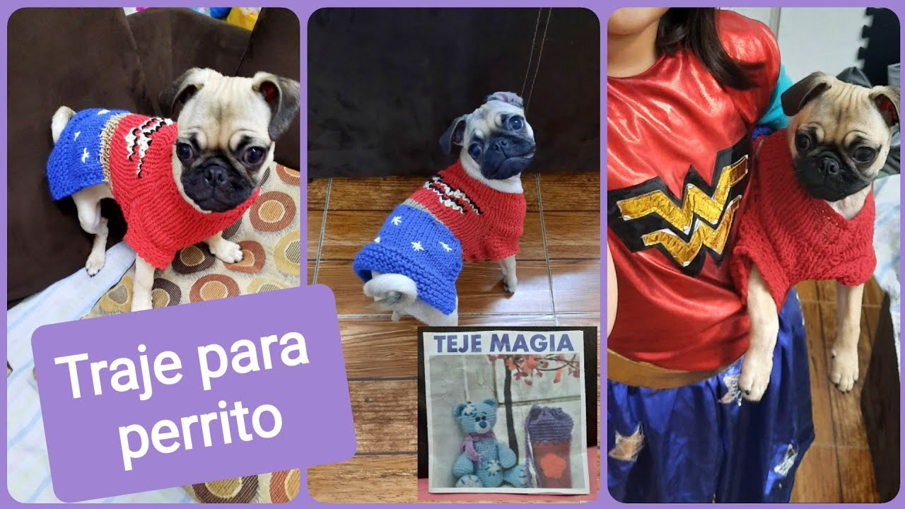 Traje para perrito 🥰🐕 talla 2 o Ch. Dos agujas y crochet🤩 - YouTube
