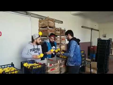 Veysel mutlu abimizden yeni sarkı