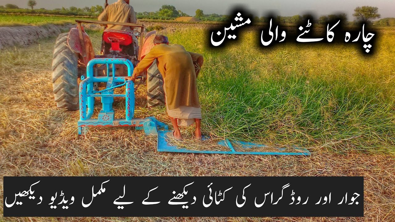 Chara Katne Wali Machine/Grass cutting machine - YouTube